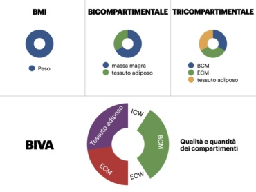 Bioimpedenziometria o BIA: cos'è e a cosa serve - Maurizio Falasconi